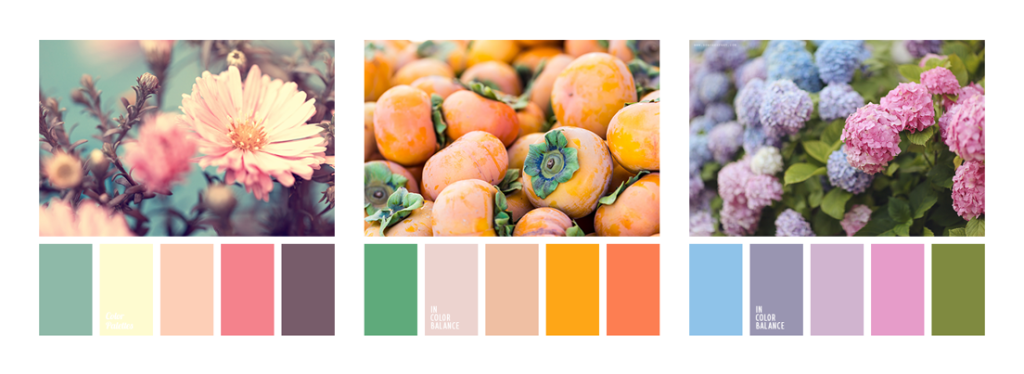 Natural Color Palettes - Web Development & Tech Blog | Spiceworks Myanmar