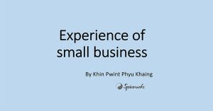 Experience of small business - Web Development & Tech Blog | Spiceworks ...